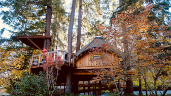 Weekend Getaway in North Carolina | Top 5 Treehouse Rentals